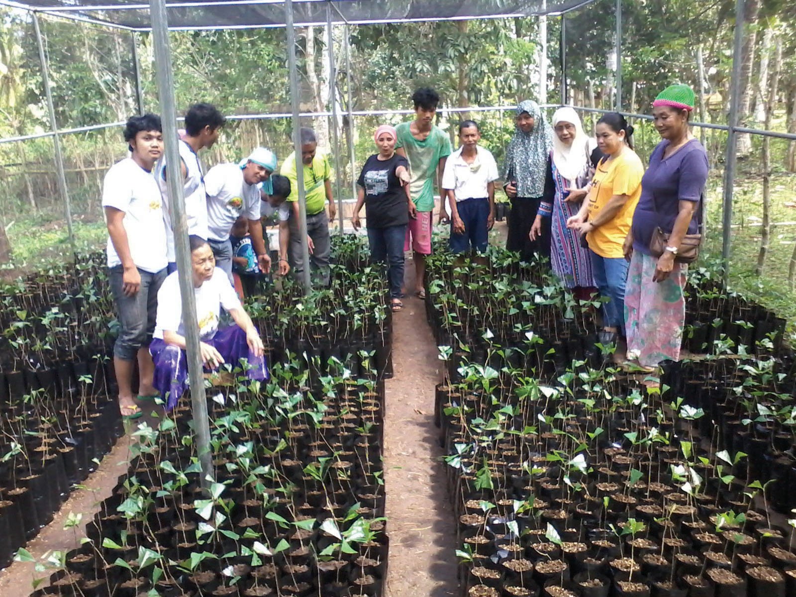 The Benefits of Coffee Farming - Philippine Coffee Board